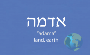 3 Secrets of The Hebrew Word for Human - Bible Stories As Blueprints of ...