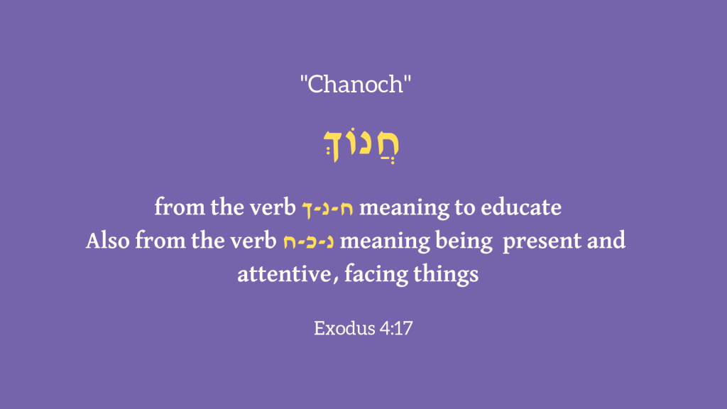 Cain: The Beginning Of Civilization - Bible Stories As Blueprints of ...